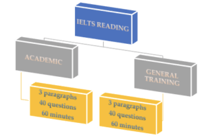IELTS Reading Test Beginners Guide - Pattern & Tips